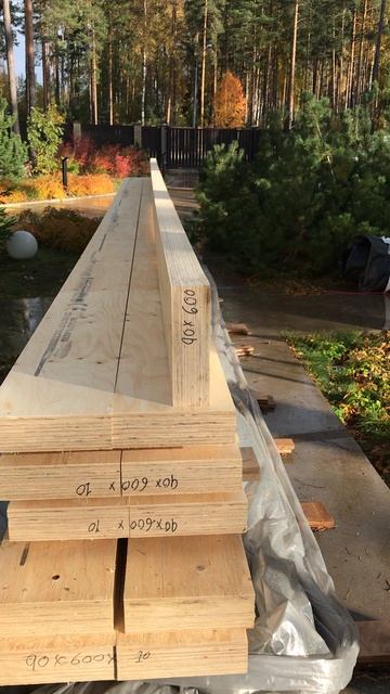 Шепот сосен, блеск Залива и СИЛА ЛВЛ! 🌲💪 Инженерная романтика. #стройка