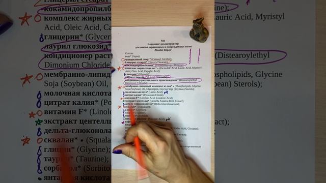 Ковошинг-реконструктор absolut repair