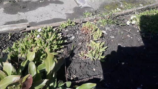 Необычайно тёплый день 4 апреля 2025 года