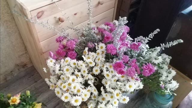 Дарите цветы _ Музыкальный клип с подборкой фото букетов цветов