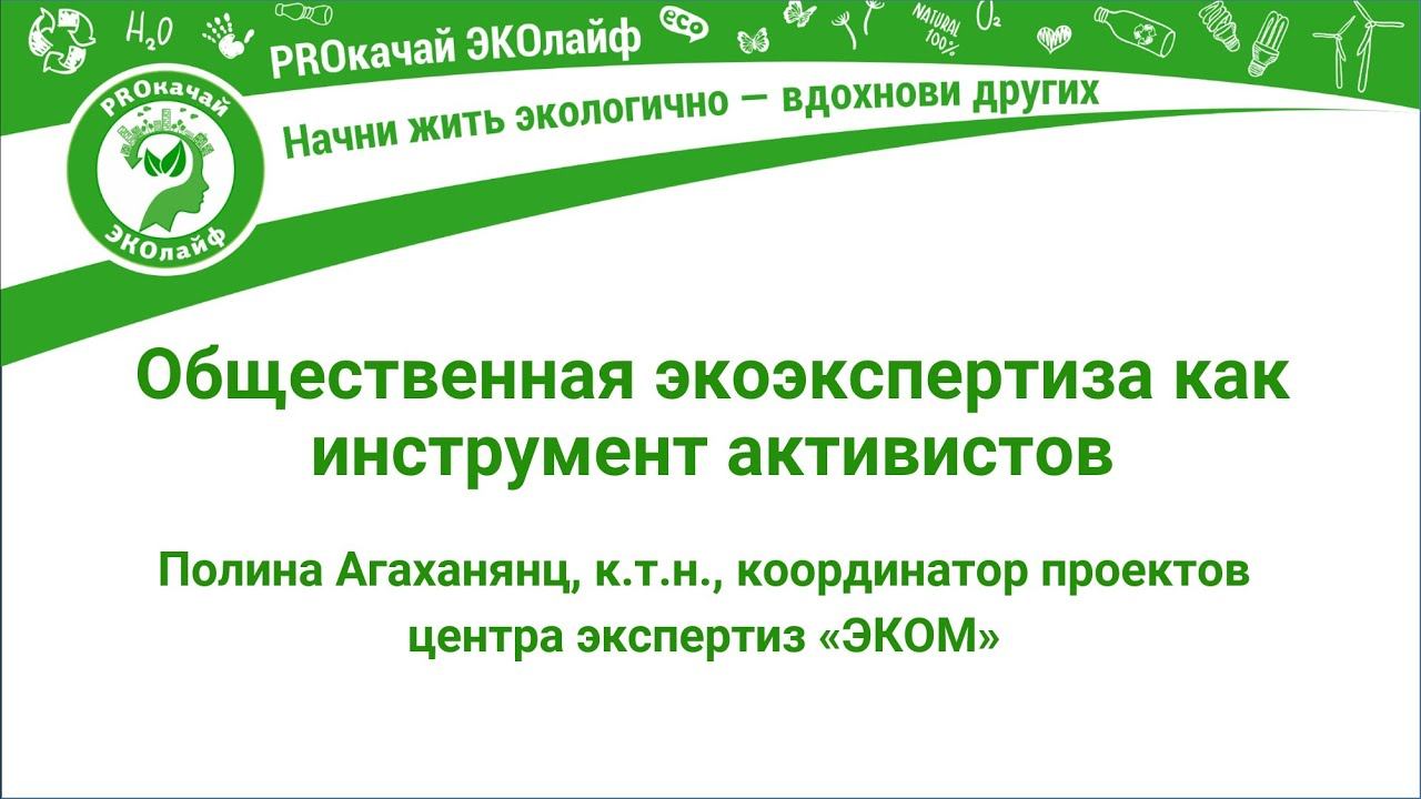 Как сделать общественную экологическую экспертизу инструментом активистов