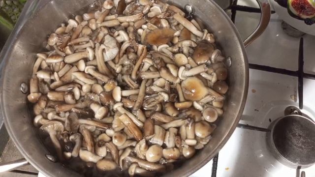 Маринованные опята. Самый простой рецепт и очень вкусный! 2023г.