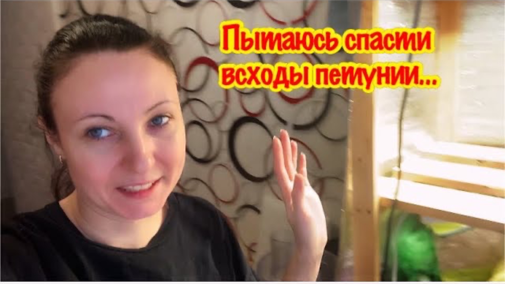 О УЖАС!!! ЧТО ДЕЛАТЬ ПОСЛЕ ВСХОДОВ ПЕТУНИИ/ПЫТАЮСЬ СПАСТИ ВСХОДЫ ПЕТУНИИ/ПЕТУНИЯ ВЗОШЛА/ЧТО ДАЛЬШЕ?