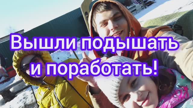 Поспешите, иначе будет поздно! Сидераты весной в теплицу, сею  только так!