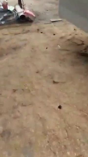 Отзыв клиента о использовании биг-бегов - Тексупак, ООО