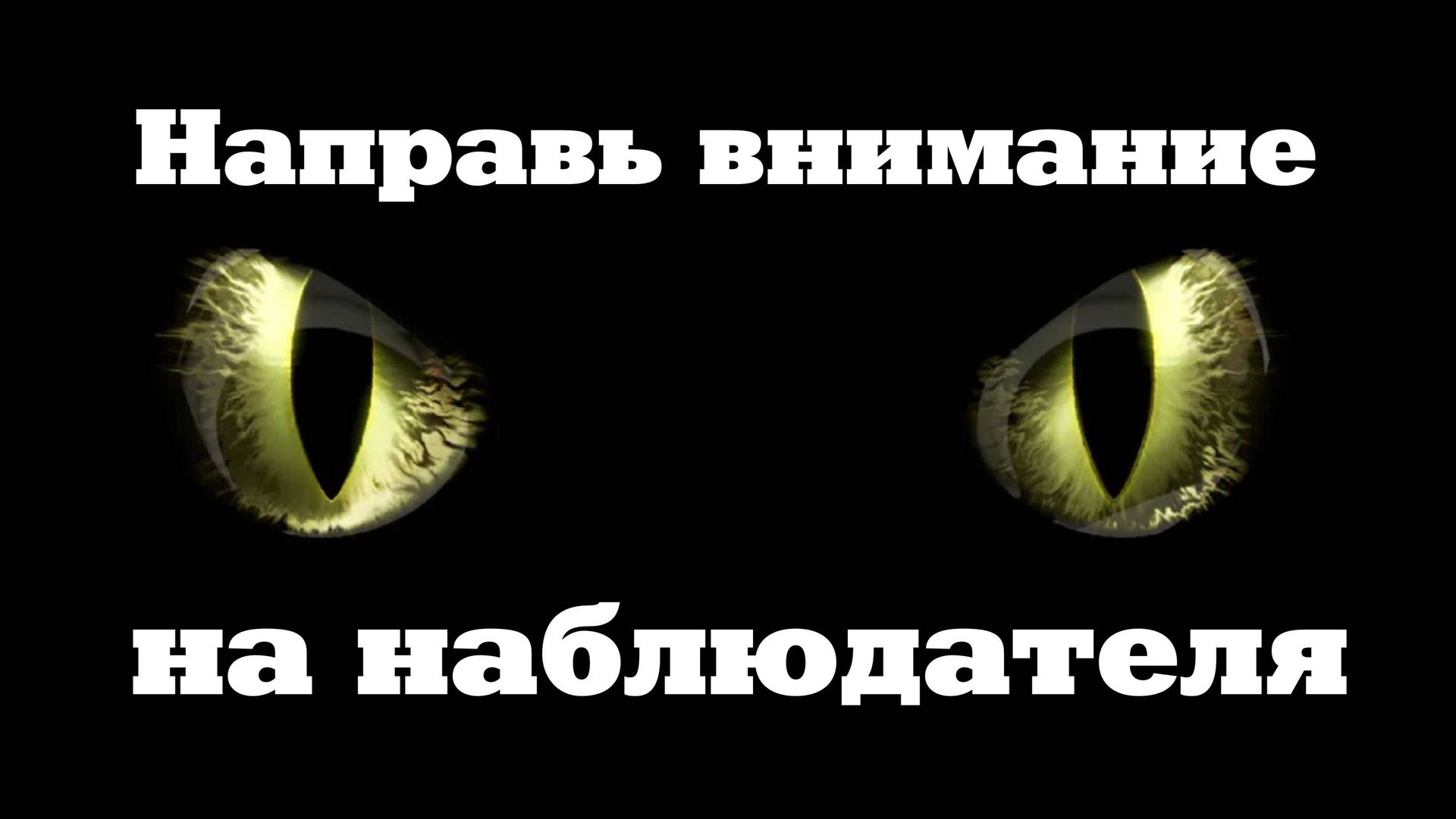 НАПРАВЬТЕ ВНИМАНИЕ НА НАБЛЮДАТЕЛЯ