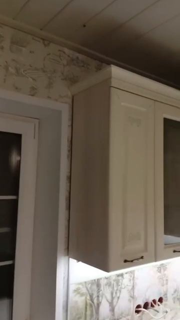 Кухня Оливия видео от 04.04.2025