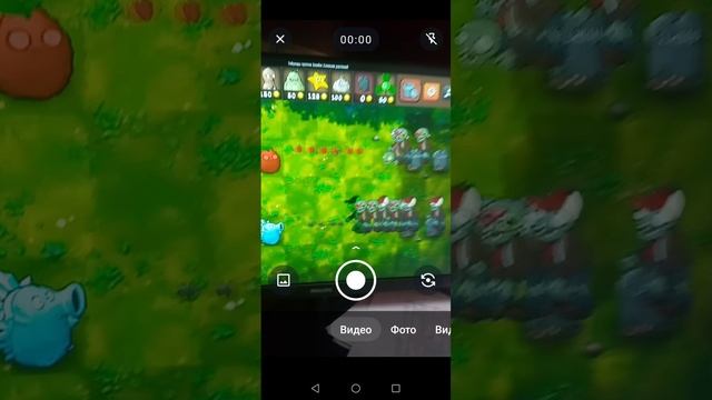 пвз 1-ый турнир 2-ой раунд 1-вой части