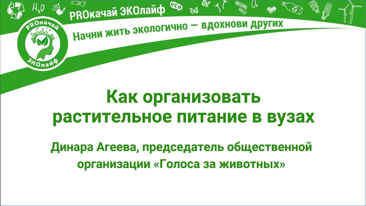 Как организовать растительное питание в вузах