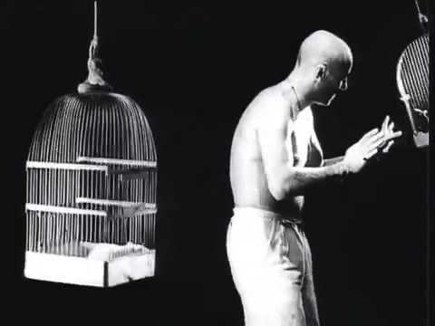 Черный обелиск   Дом желтого сна Low, 360p