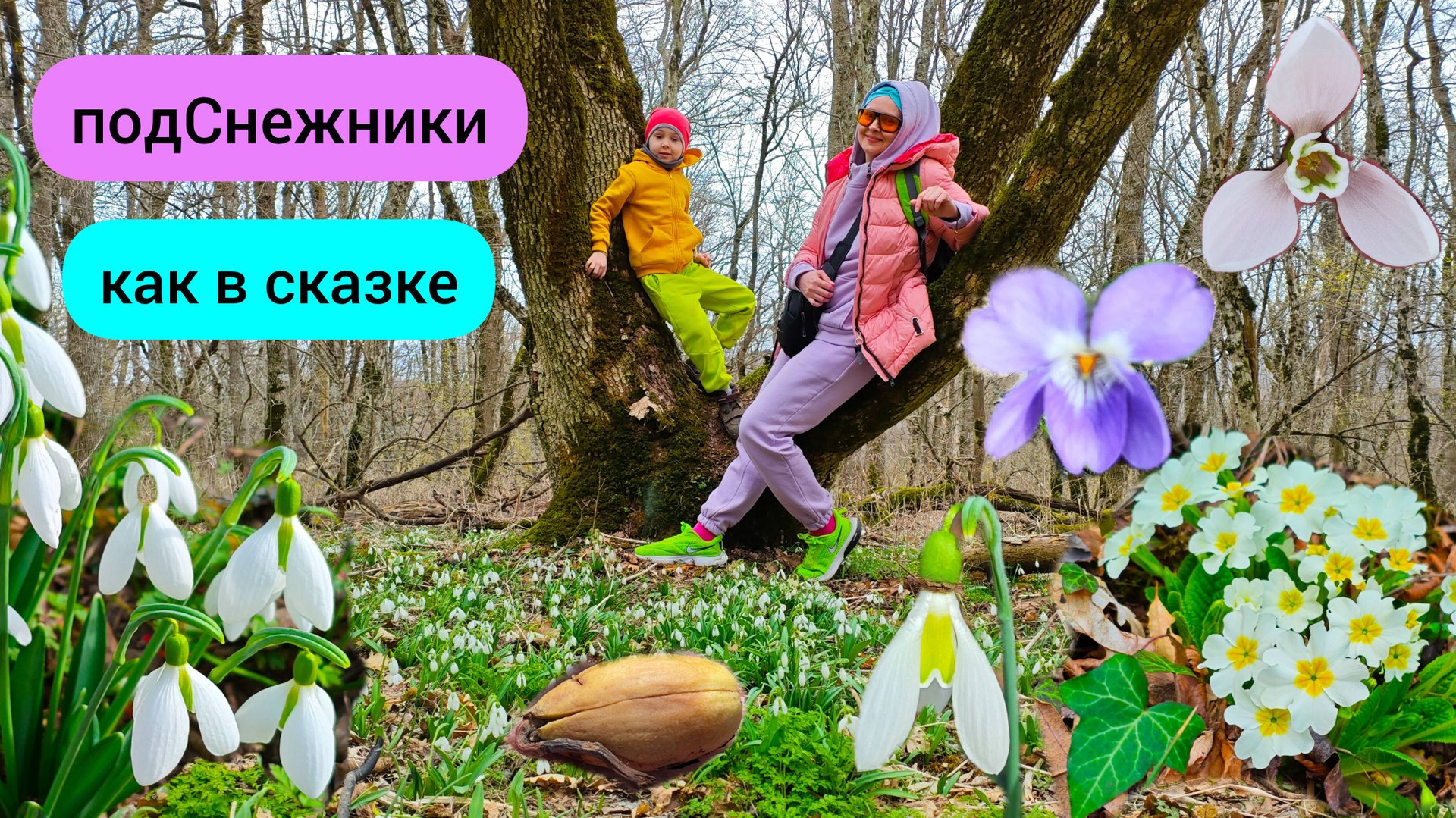 #143 где растут Подснежники в Краснодарском крае #леснаяцаревна #sumkiberry #пойдемсомной