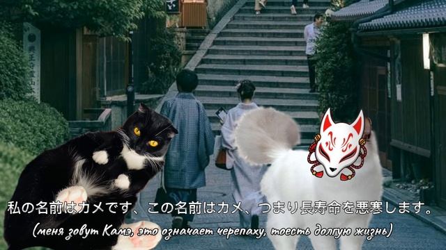 Сериал "Билетик Бони" 5 серия!🐱