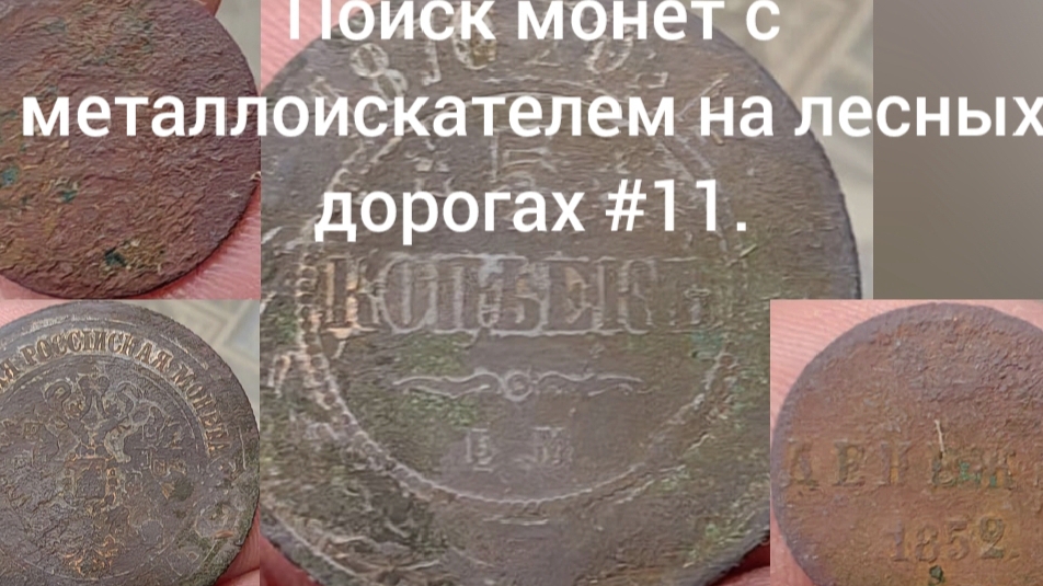 поиск монет с металлоискателем на лесных дорогах
