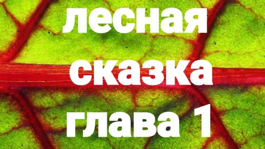 Поэма "Лесная сказка", глава 1