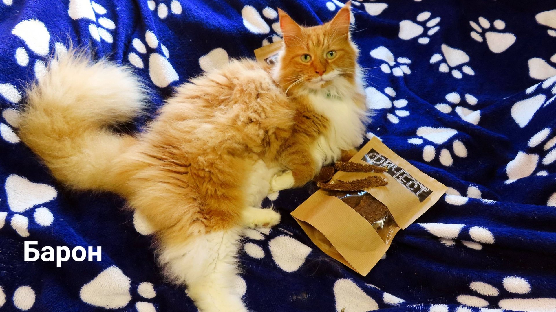 Какие #ЛАКОМСТВА #вкусняшки Я даю моему #котику Барону #мейнкун #ФИЧЕСТ