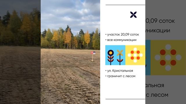 #УчасткиТапио_участок№48