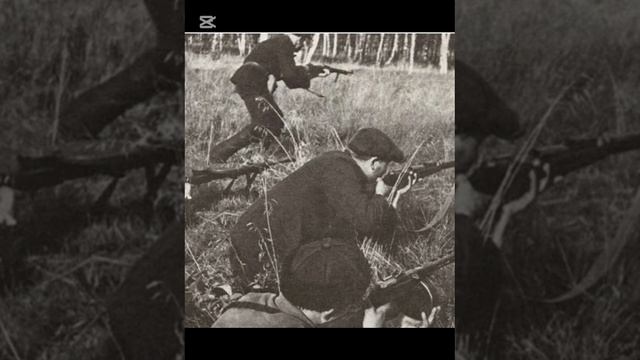 Корнелюк Екатерина. Старосельская средняя школа имени М.Н. Чернака