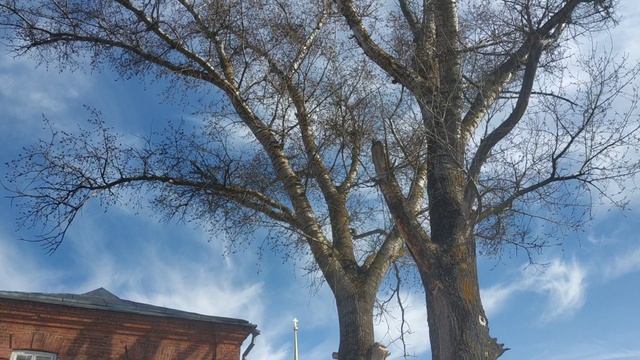 Добрый день из доброго места 🌞