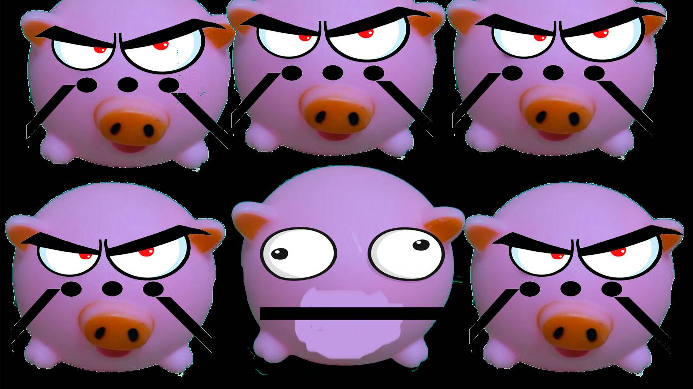 ЧТО НАТВОРИЛ СИВЛИ ДОМА У МОЕГО ГОВОРЯЩЕГО СВИЛИ!