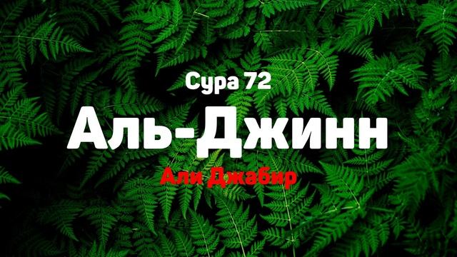 Сура 72 Аль-Джинн - Али Джабир