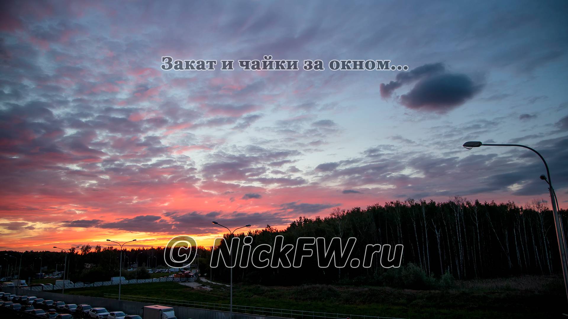 Закат и чайки за окном