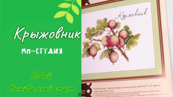 Мой новый процесс вышивки - Крыжовник от МП-студии