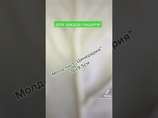 Молд лист "Цинерария" 16*9,5 см