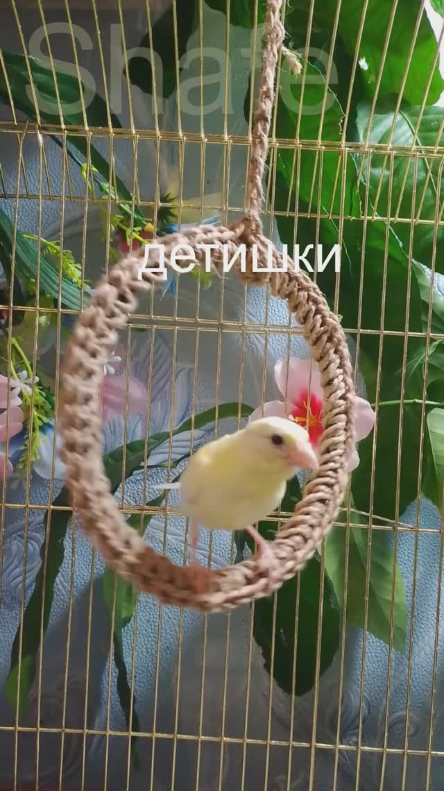 дети и родители -1.