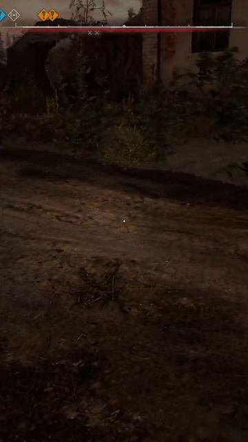 Кабаны ёп ма!!