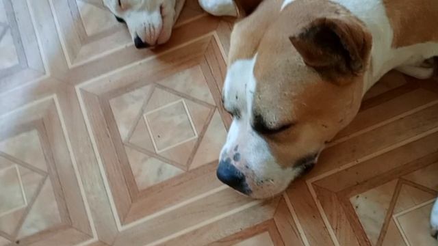 60 Место для сна