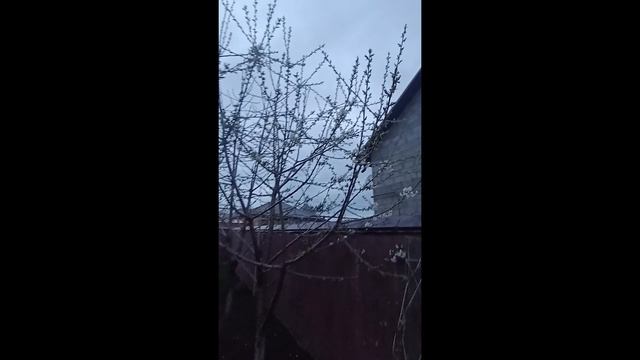 Наш небольшой участок