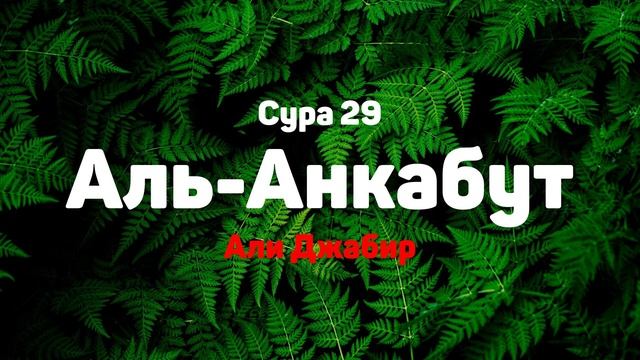 Сура 29 Аль-Анкабут - Али Джабир