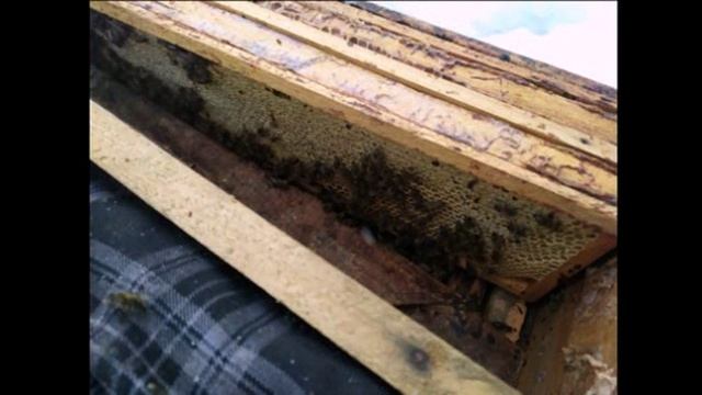 Зимовке конец или нет_050425