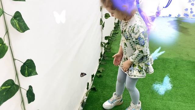 В парке бабочек