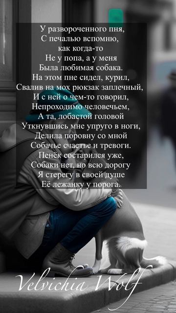 Не у попа……Вячеслав Арасланов #стихи #поэзия #shorts