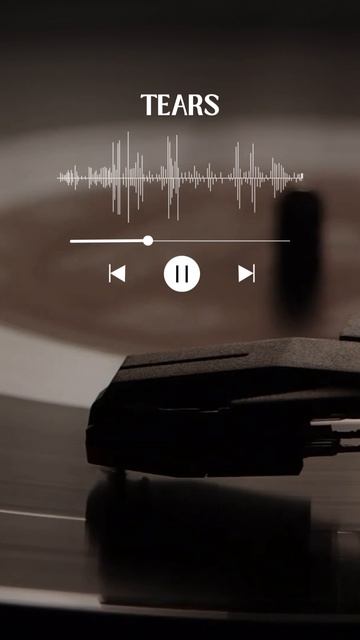 Tears - соло с альбома