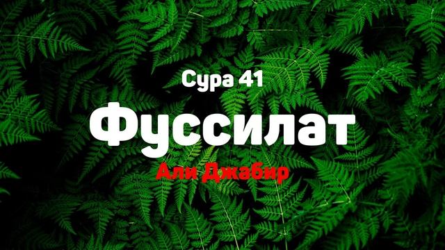 Сура 41 Фуссилат - Али Джабир