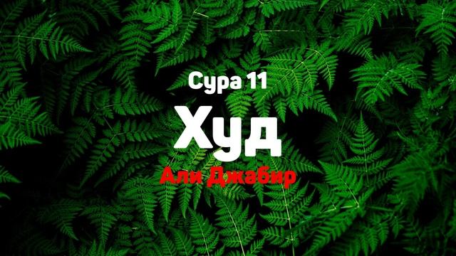 Сура 11 Худ - Али Джабир
