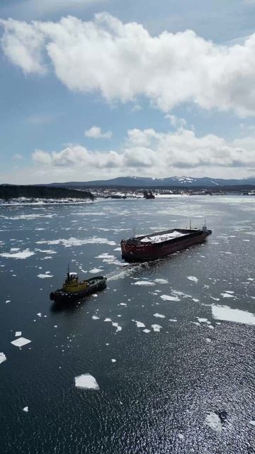 Ships in Ice into the harbour