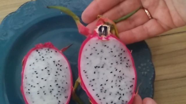 Питахайя растет теперь и в Турции, пробуем плод кактуса