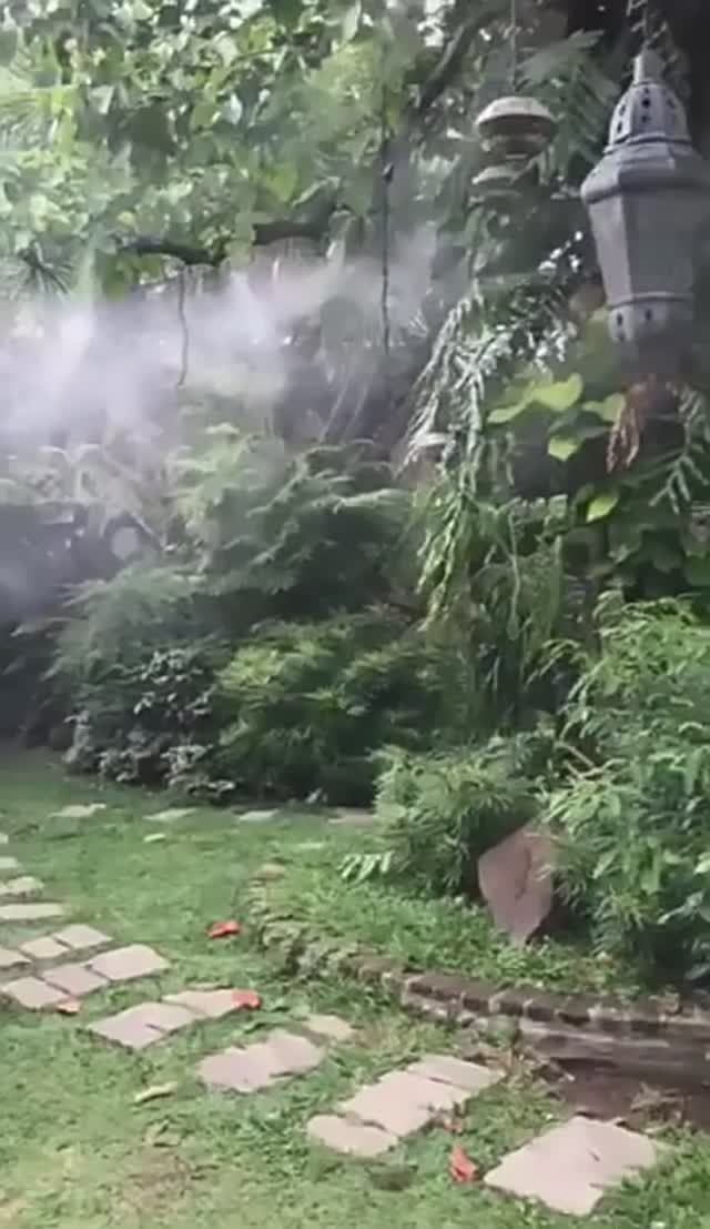 Система создания тумана в саду.