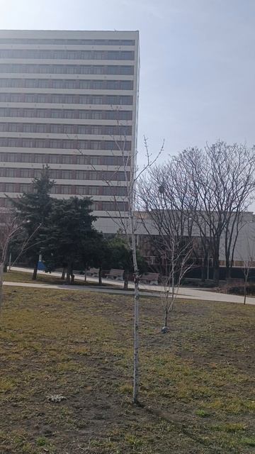 Восстановление Мариуполя. Центр города. Сегодня. 2025