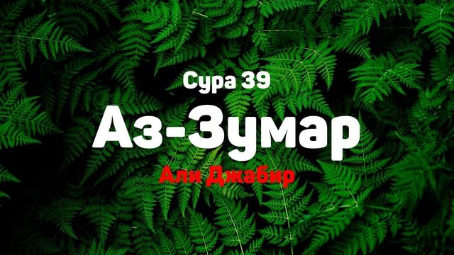 Сура 39 Аз-Зумар - Али Джабир
