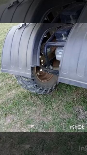 59 Приучение амстаффа к средствам передвижения