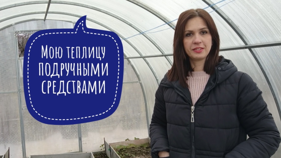 Как помыть теплицу подручными средствами 2025г.