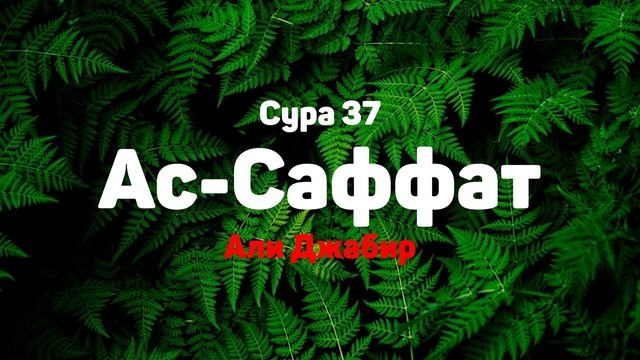 Сура 37 Ас-Саффат - Али Джабир