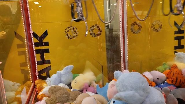 Плюшистики 😺 Жёлтый котяра или хитрый котяра?😼