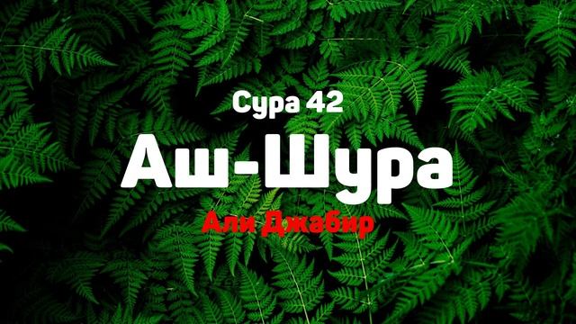 Сура 42 Аш-Шура - Али Джабир
