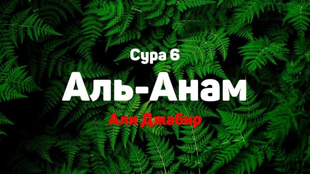 Сура 6 Аль-Анам - Али Джабир