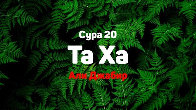 Сура 20 ТаХа - Али Джабир